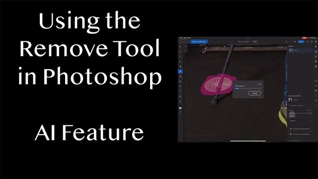 AI-Powered Photoshop Remove Tool: Simplifying Photo Editing | Gary ...